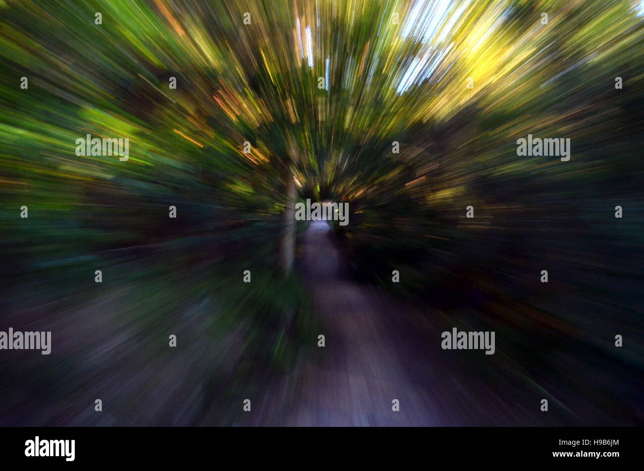 Zoom into a forest with high speed textured background. Abstract ...