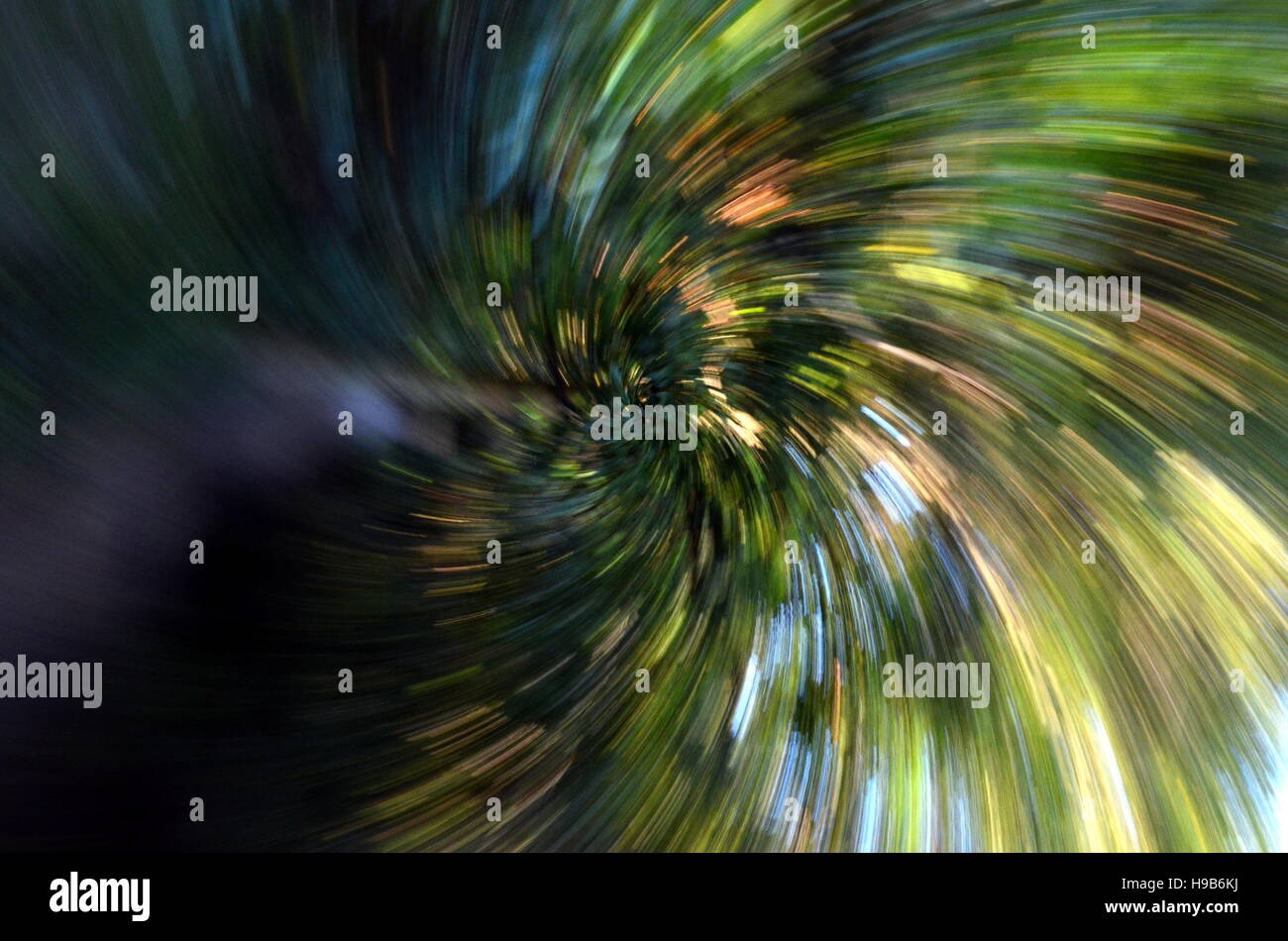 Zoom into a forest with high speed textured background. Abstract ...