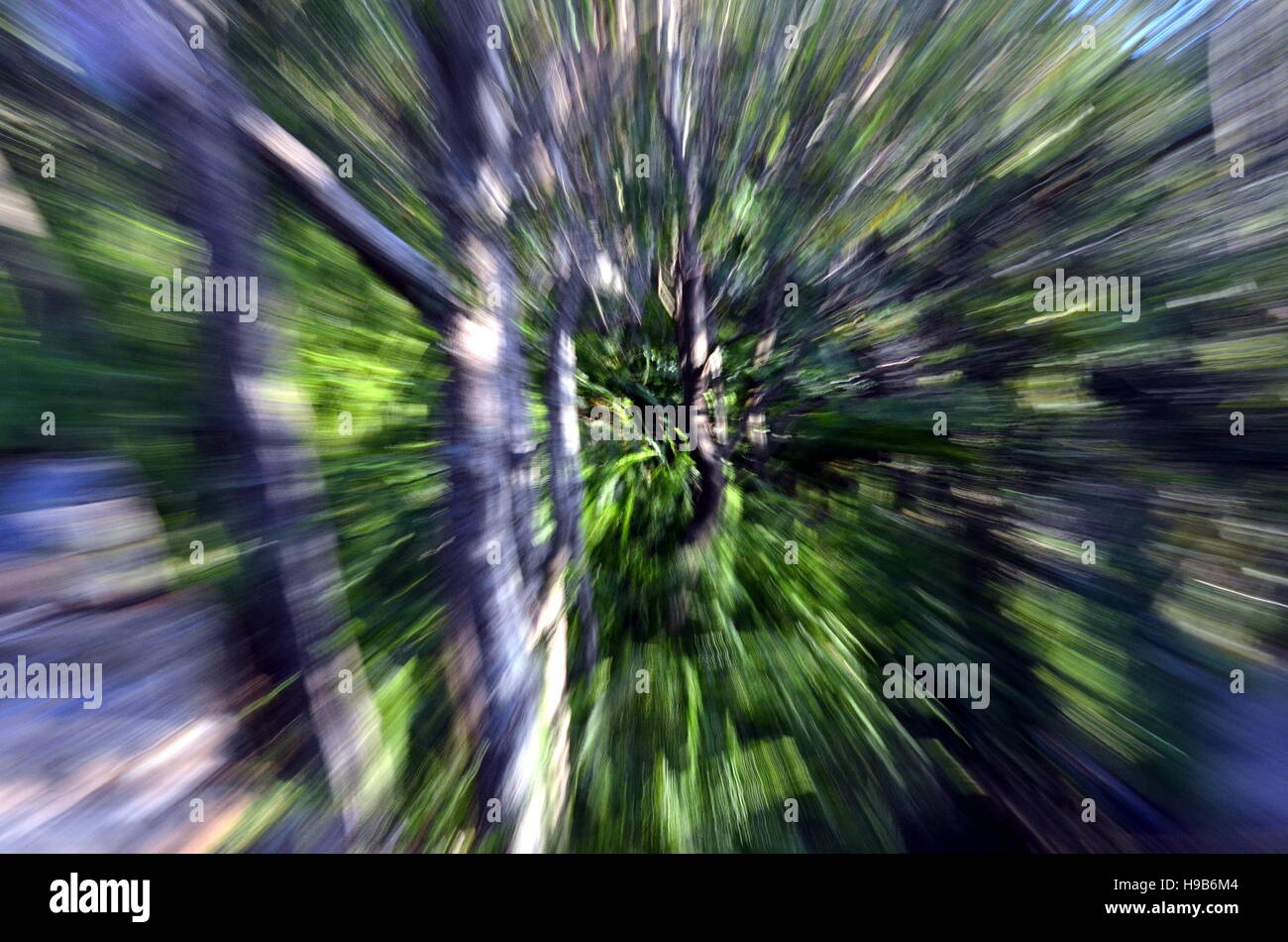 Zoom into a forest with high speed textured background. Abstract ...
