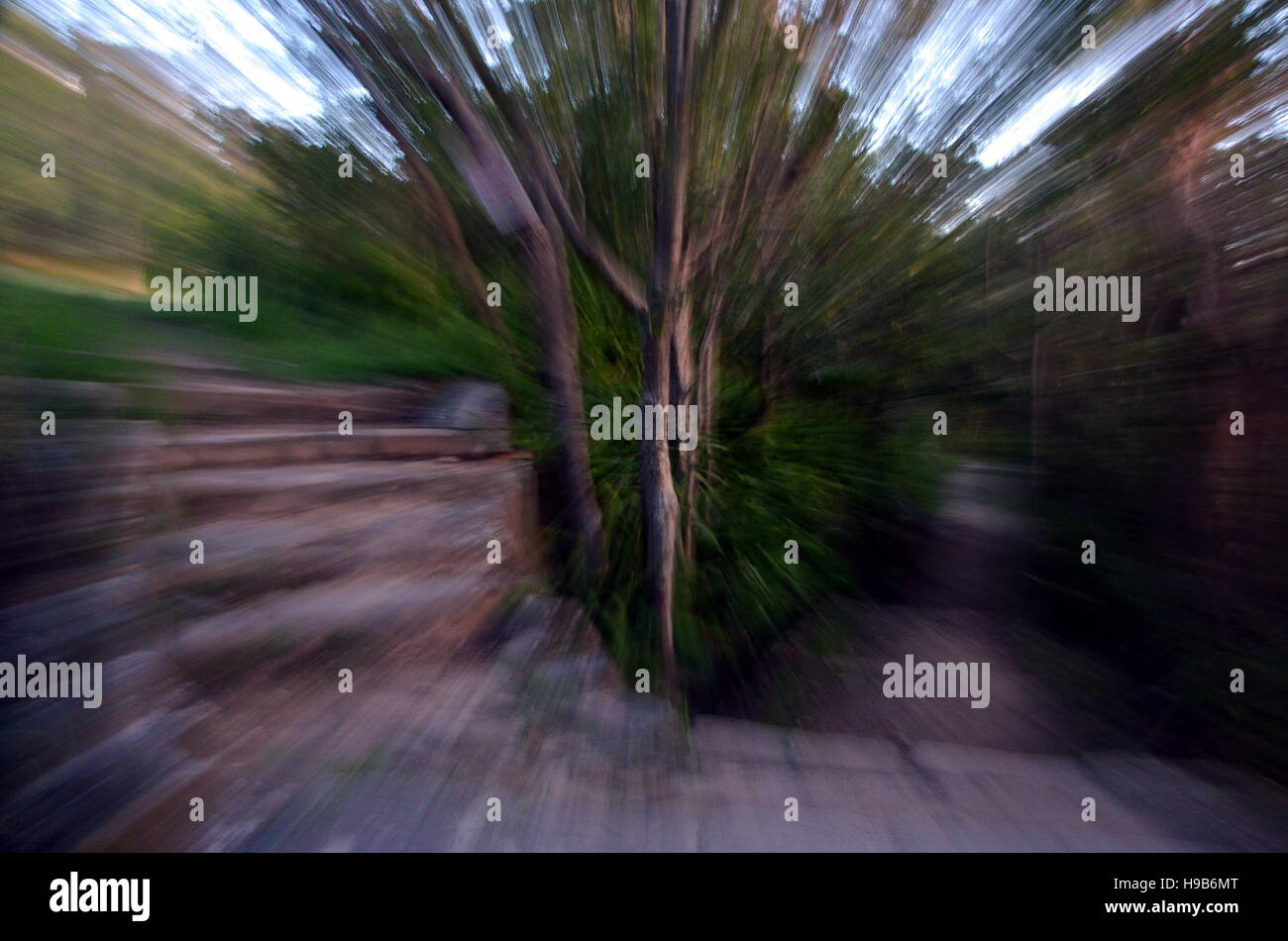 Zoom into a forest with high speed textured background. Abstract ...