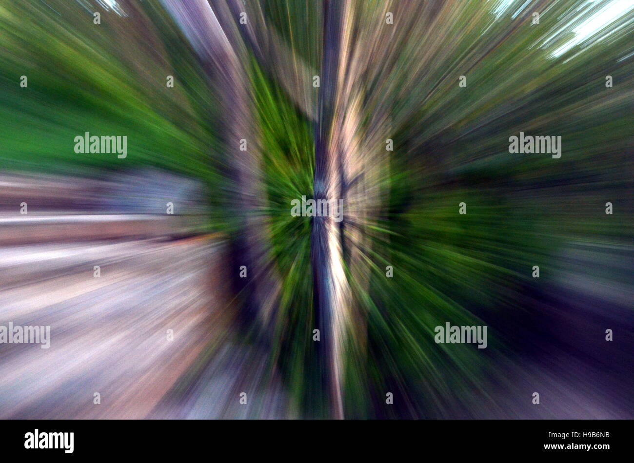 Zoom into a forest with high speed textured background. Abstract ...