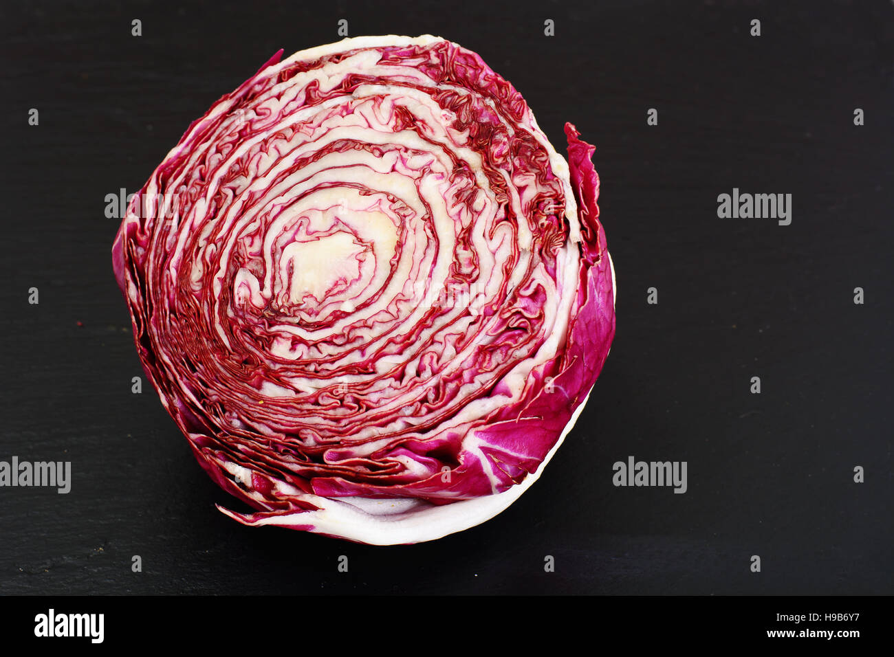 Batavian Italian Chicory Studio Phoito Stock Photo - Alamy