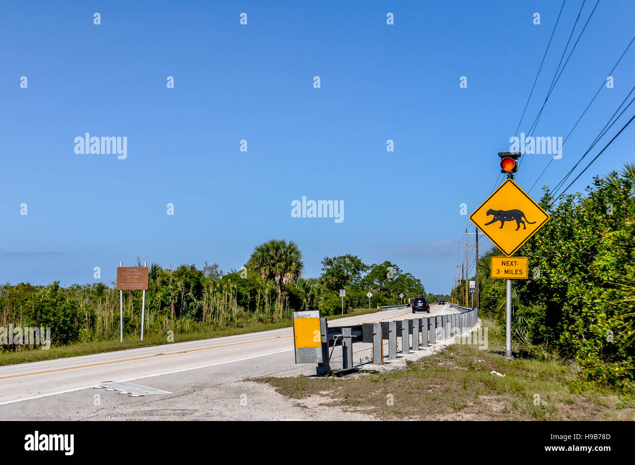 RADS wildlife crossing zone for Florida panthers on US 41 at Big ...