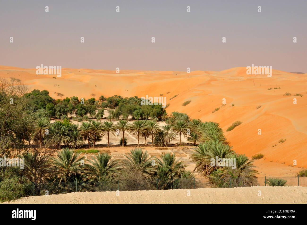 Desert oasis hi-res stock photography and images - Alamy