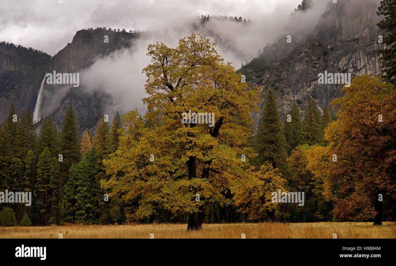 Fog rolls into the Yosemite valley during a storm Stock Photo - Alamy