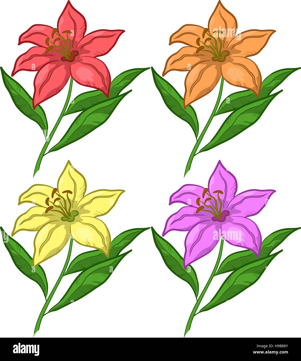 Pink lily flowers gift Stock Vector Images - Alamy