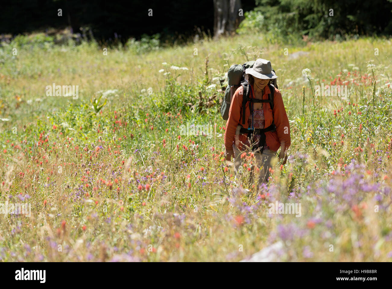 Walking through tall vegetation hi-res stock photography and images - Alamy