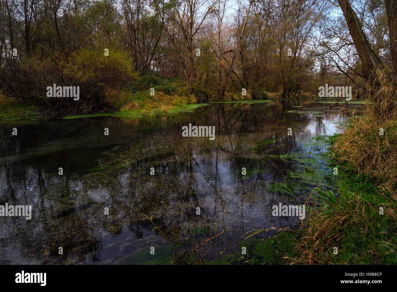 wonderful views of the Ticino river and the forest Stock Photo - Alamy