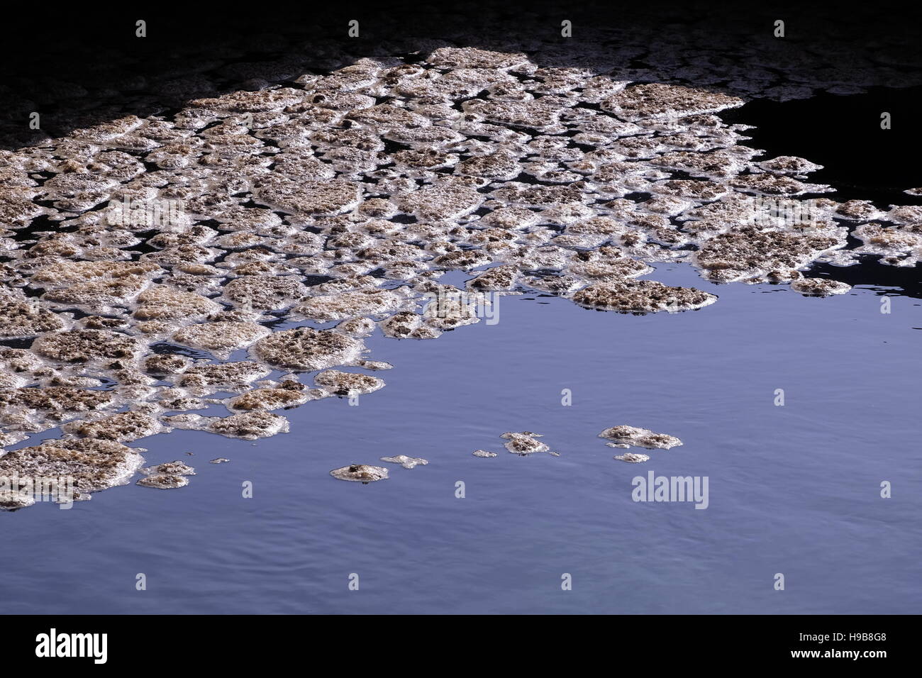 Mediterranean seawater is pretreated to remove various solid impurities ...