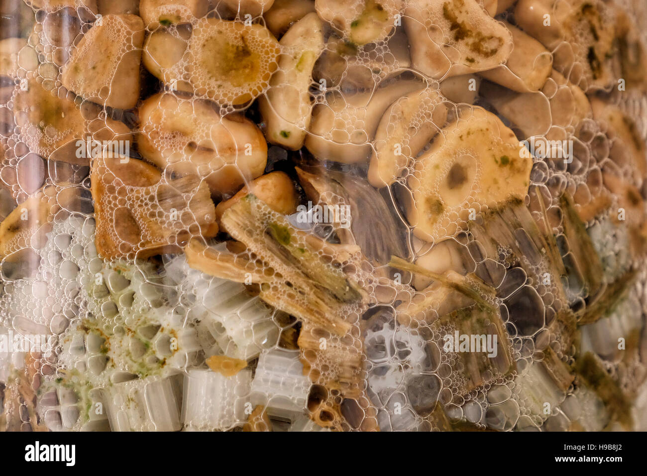 Detail of a Biowaste digester which filters human waste via natural ...