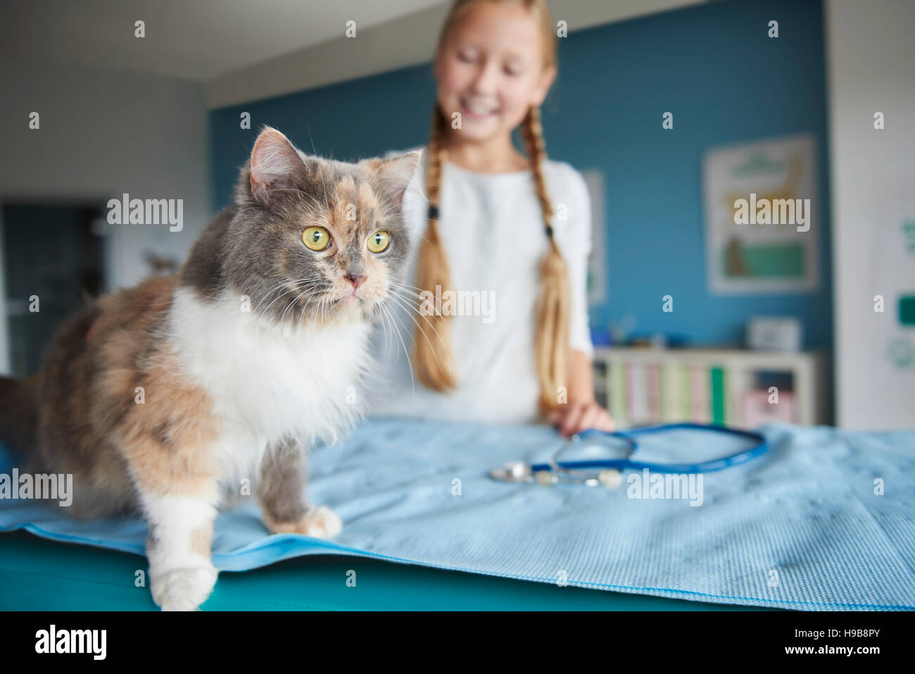 Woman and her cat at the vet Stock Photo - Alamy