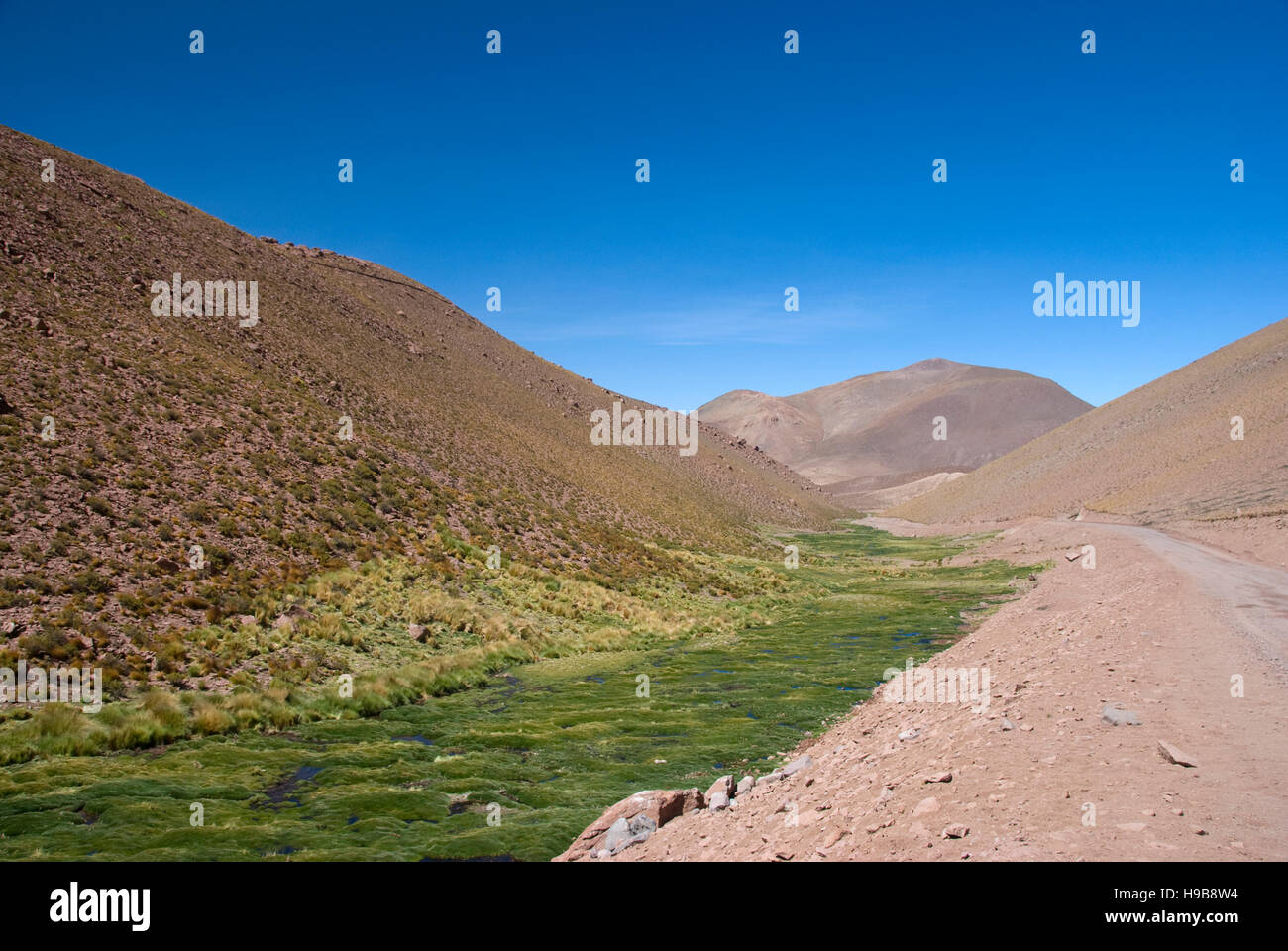Atacama deserts hi-res stock photography and images - Alamy