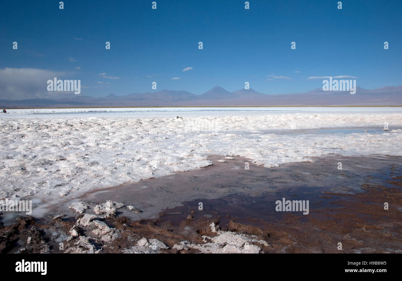 Salar de Atacama, salt lake, Atacama Desert, Chile, South America Stock ...