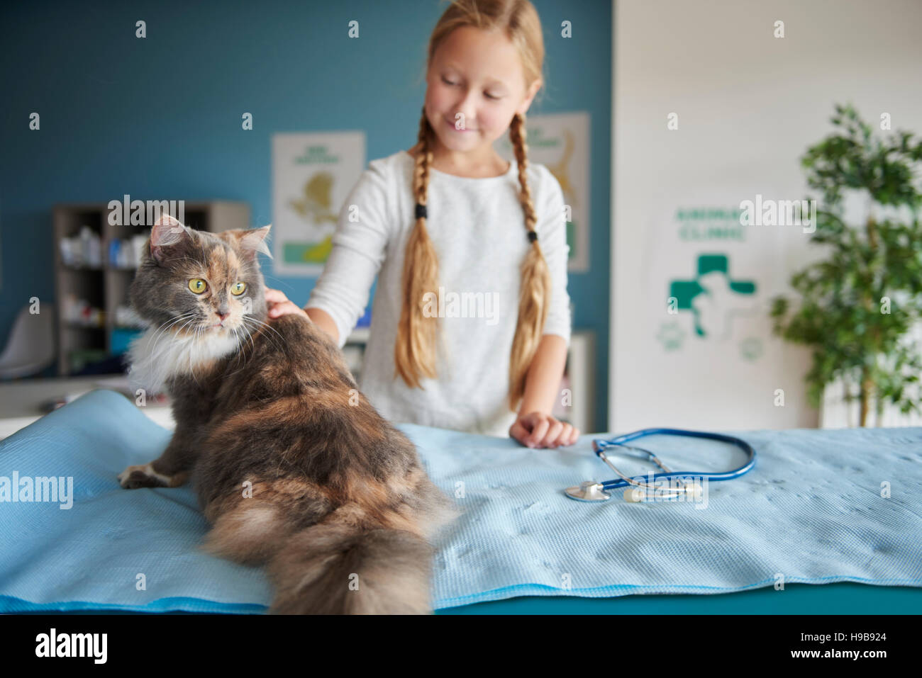 Girl and her cat at the vet Stock Photo - Alamy