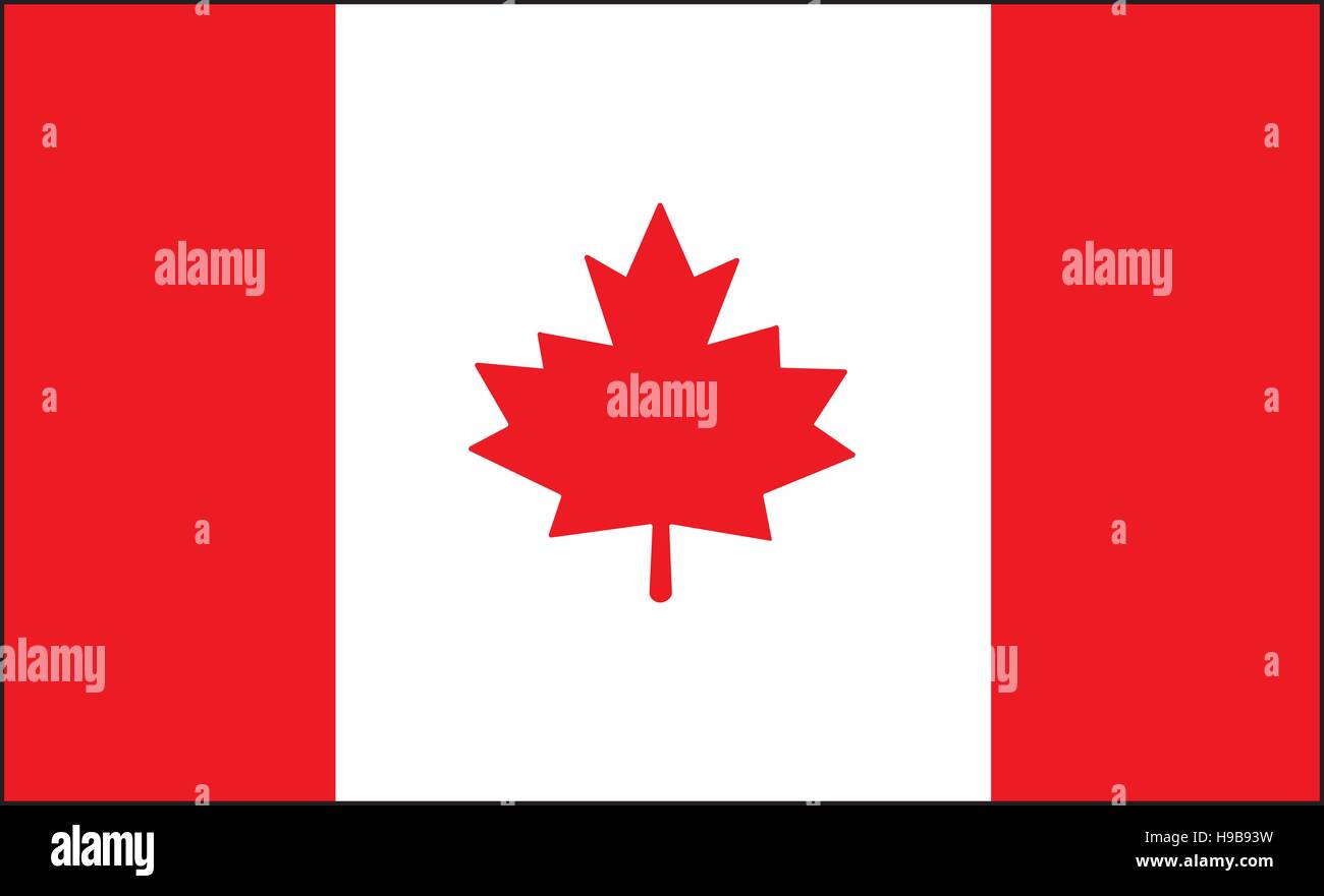 A Canada flag.National flag of Canada.vector illustration Stock Vector ...