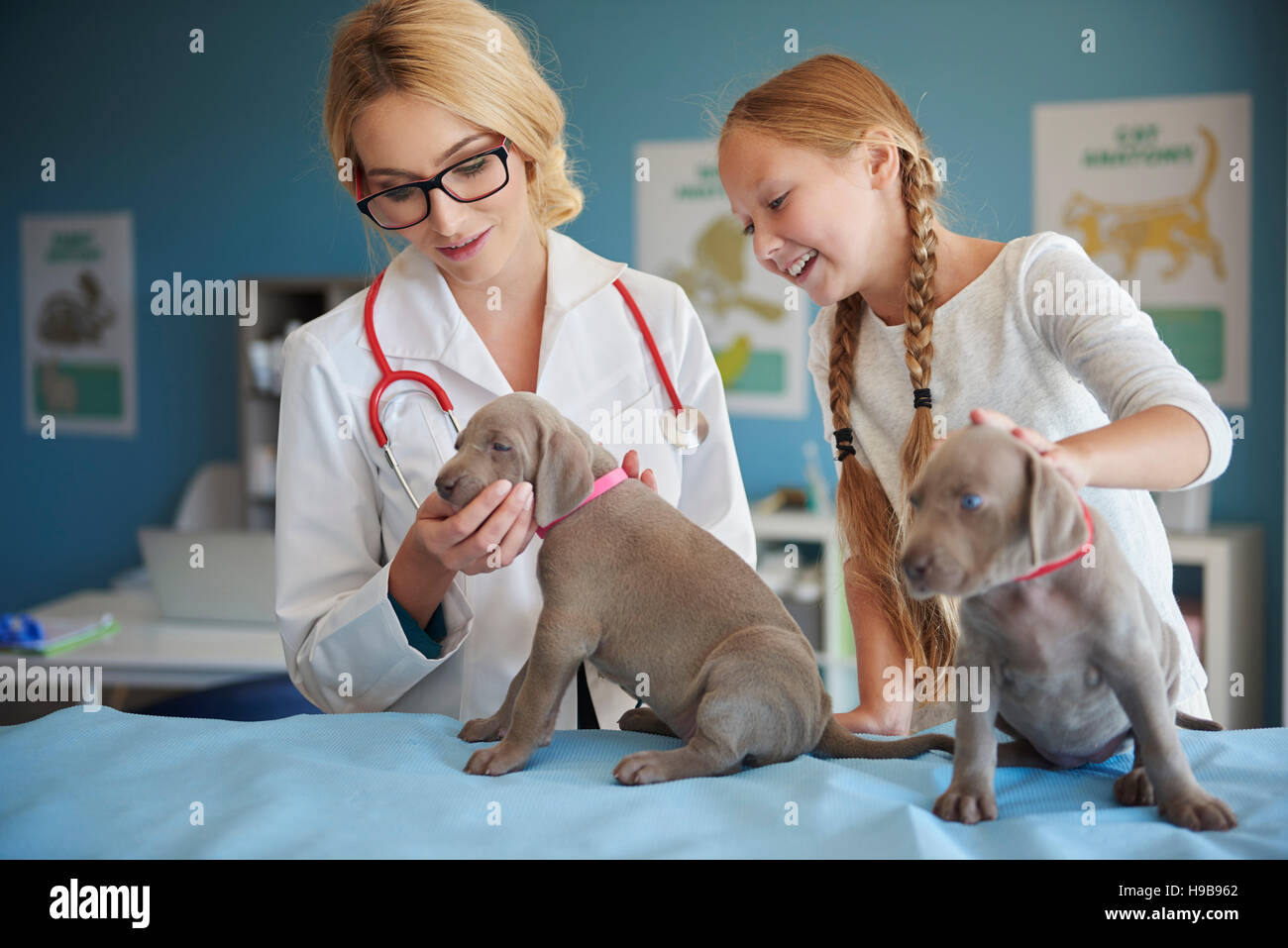 First visit at the vet Stock Photo - Alamy