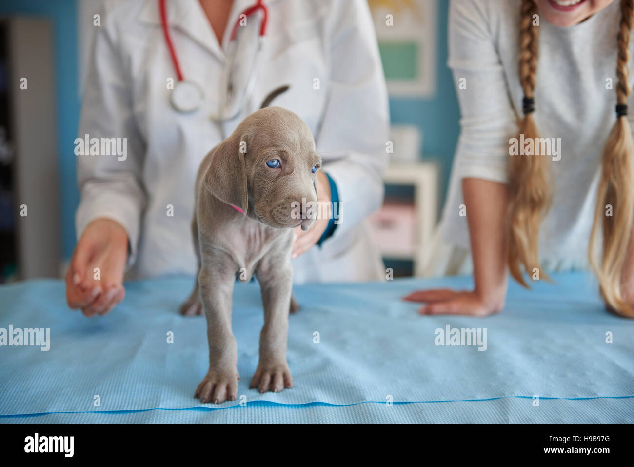 Front view steps two unrecognizable hi-res stock photography and images ...