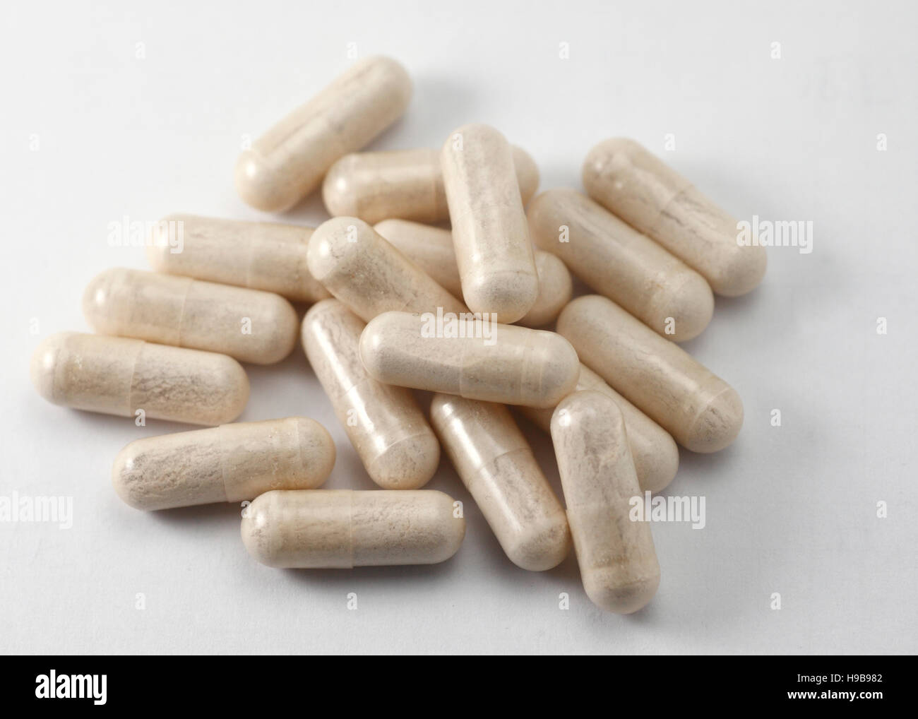 Feverfew capsules (Chrysanthemum parthenium), natural remedy against ...