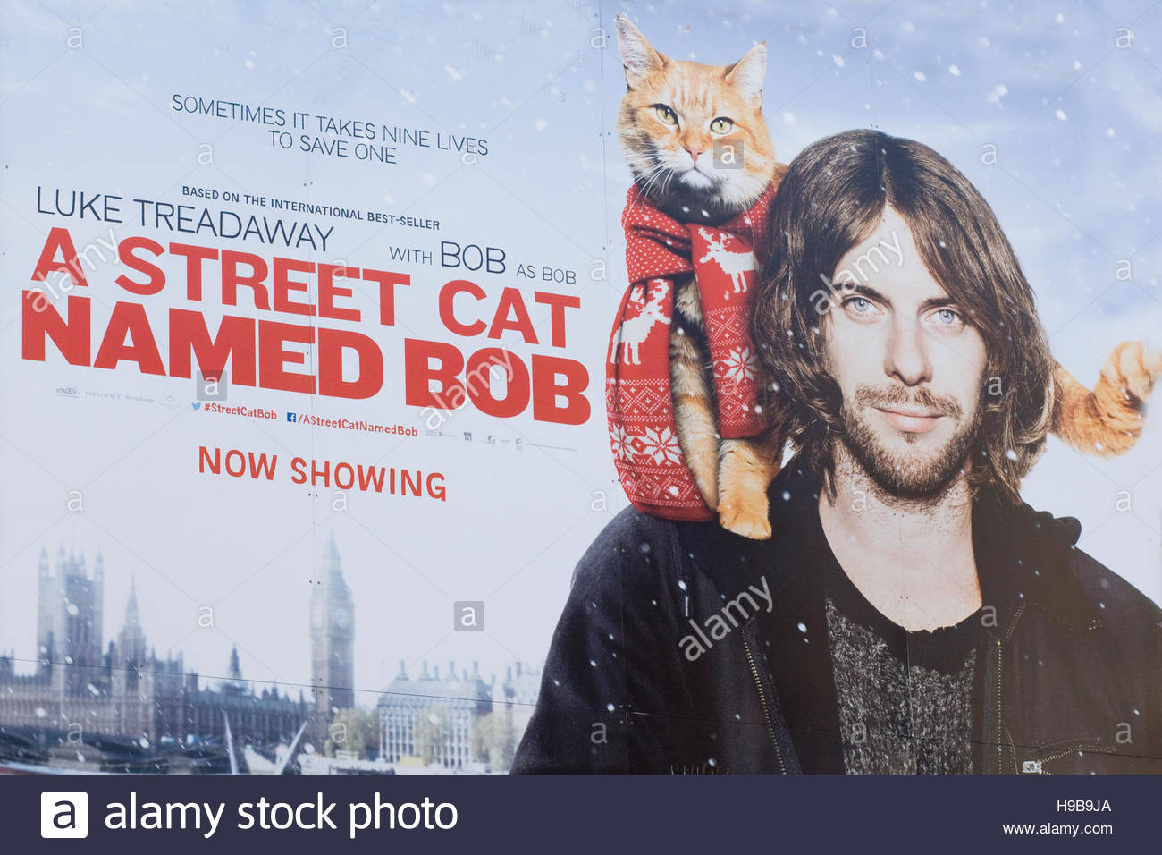 Street Cat Named Bob High Resolution Stock Photography and Images - Alamy