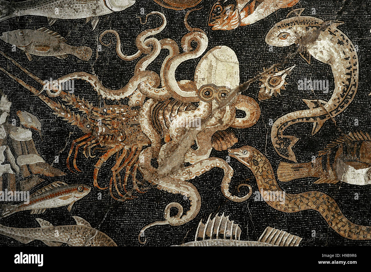 Pompeii mosaic hi-res stock photography and images - Alamy