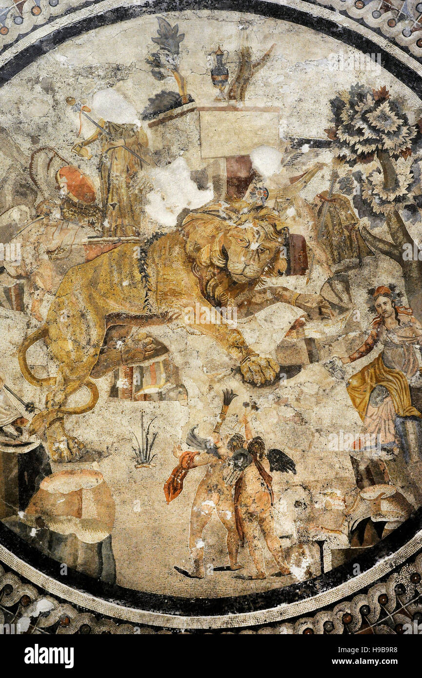 Roman lion hi-res stock photography and images - Alamy