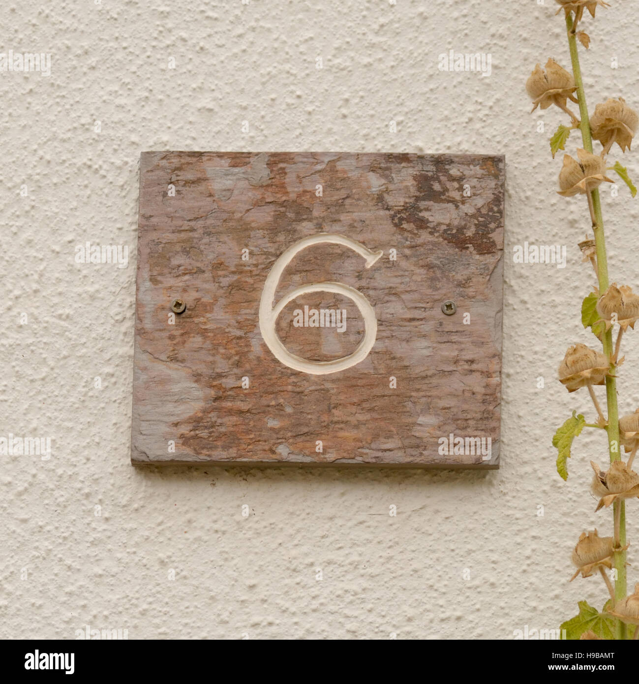 House Number 6 sign on wall Stock Photo - Alamy