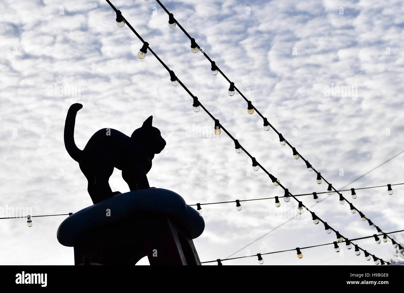 Magdeburg, Germany. 21st Nov, 2016. The silhouette of a cat figure can ...
