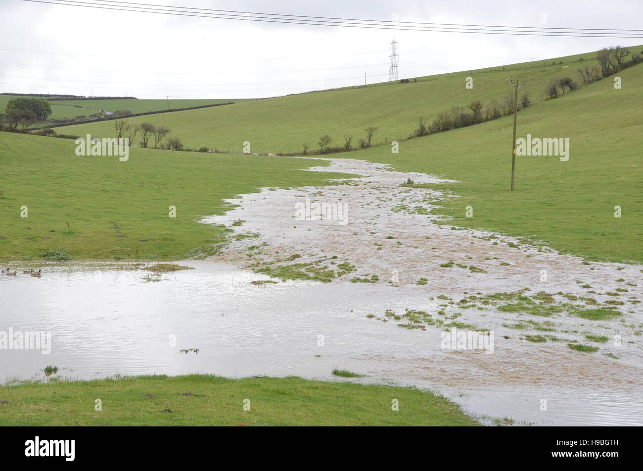 Cars negotiating flood water hi-res stock photography and images - Alamy