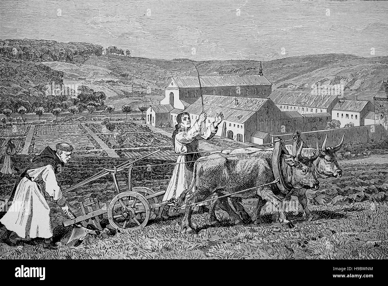 Working field Black and White Stock Photos & Images - Alamy