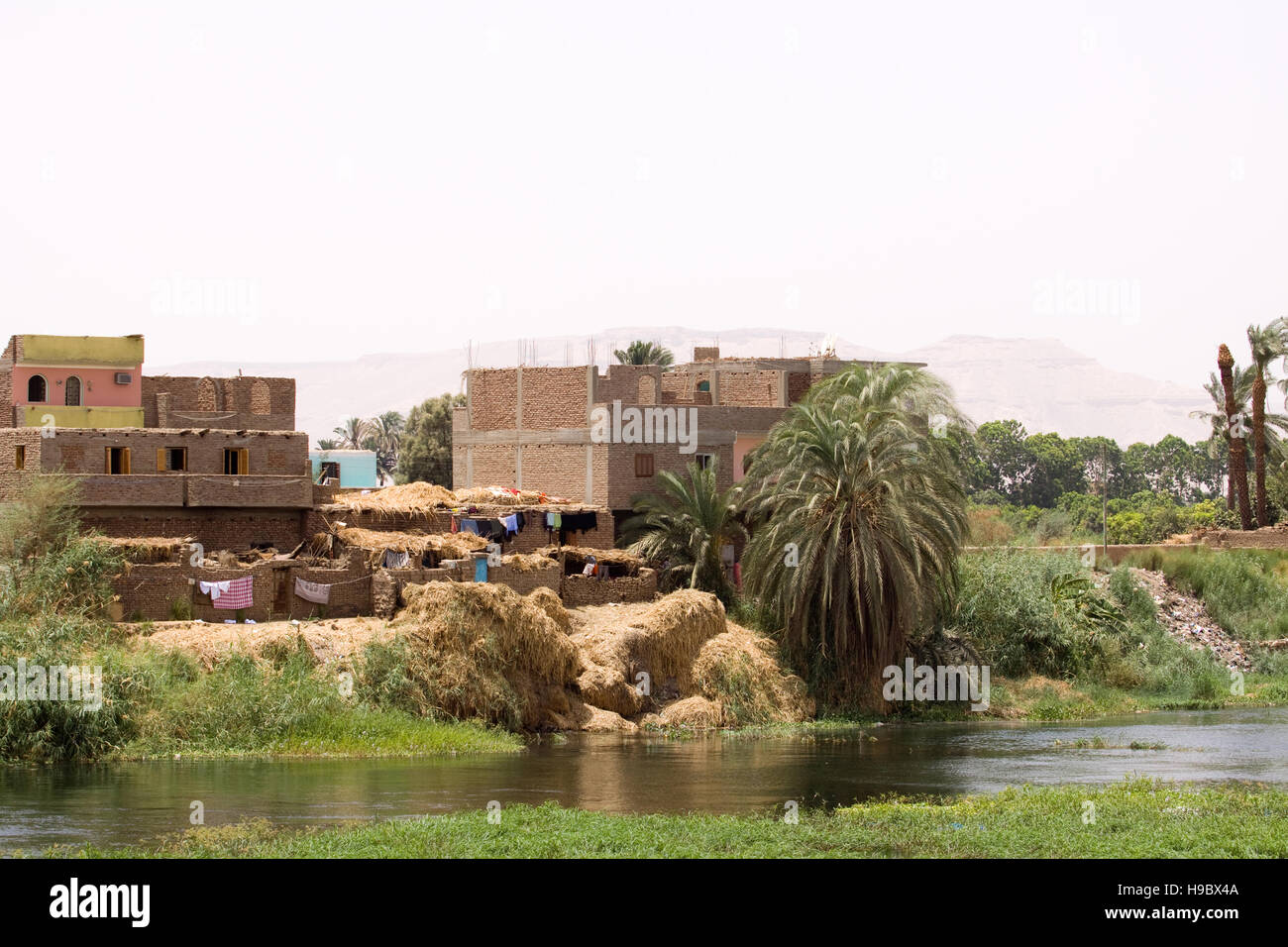 village and nature along the nile river in egypt Stock Photo - Alamy