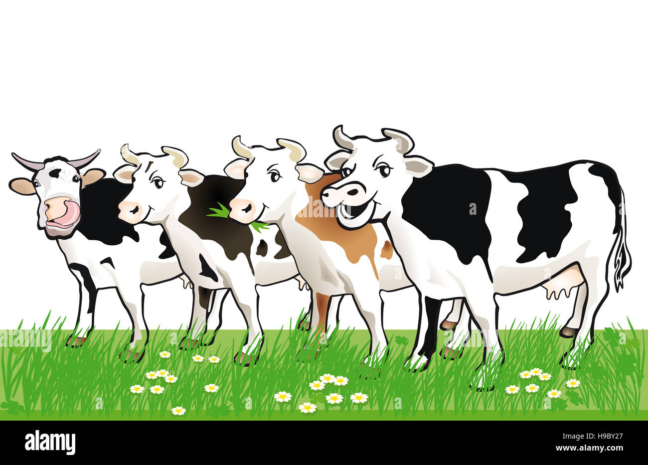Four cows hi-res stock photography and images - Alamy