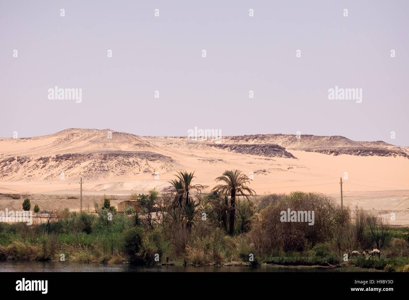 village and nature along the nile river in egypt Stock Photo - Alamy