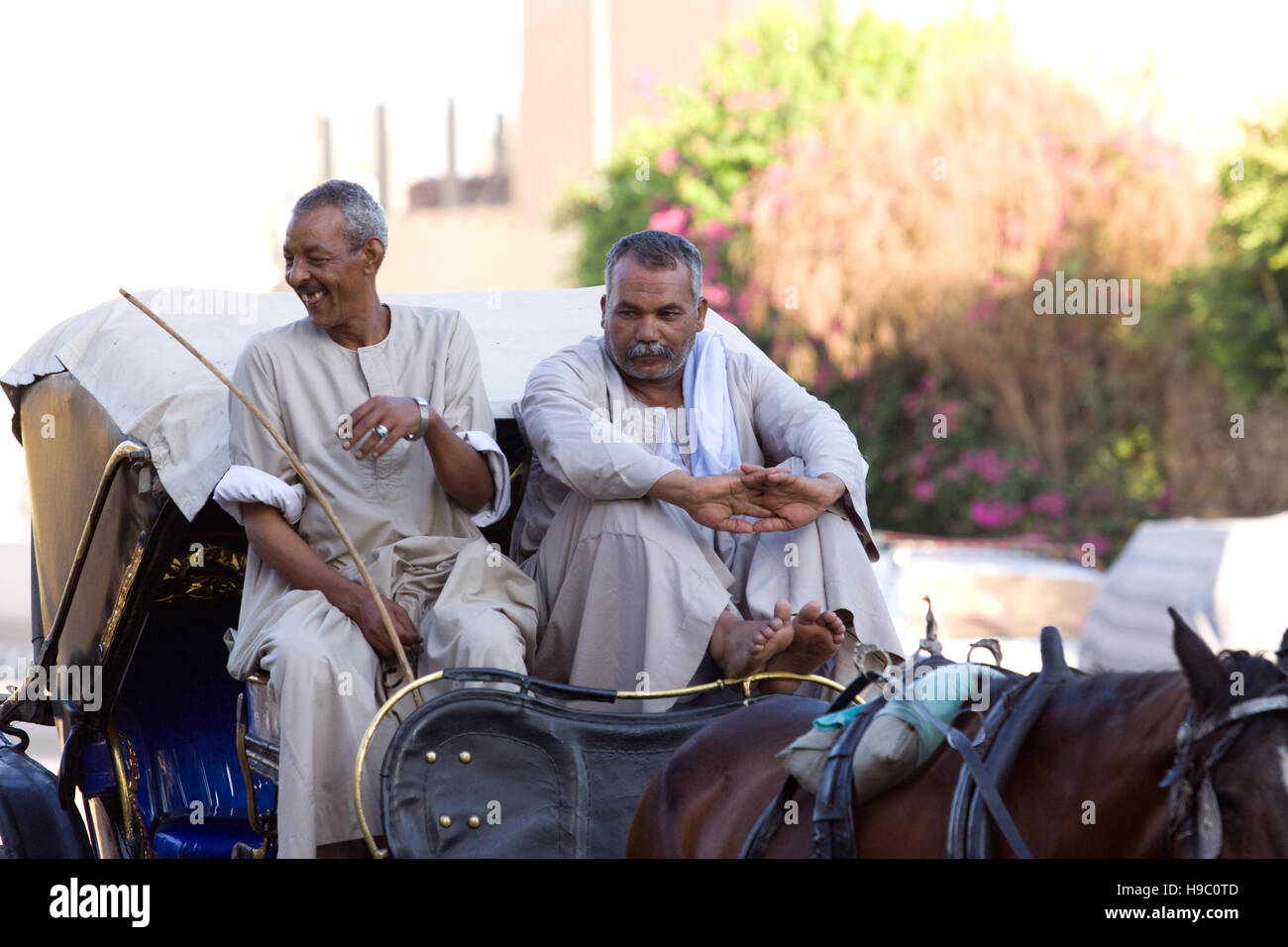 people in aswan egypt during everyday life Stock Photo - Alamy