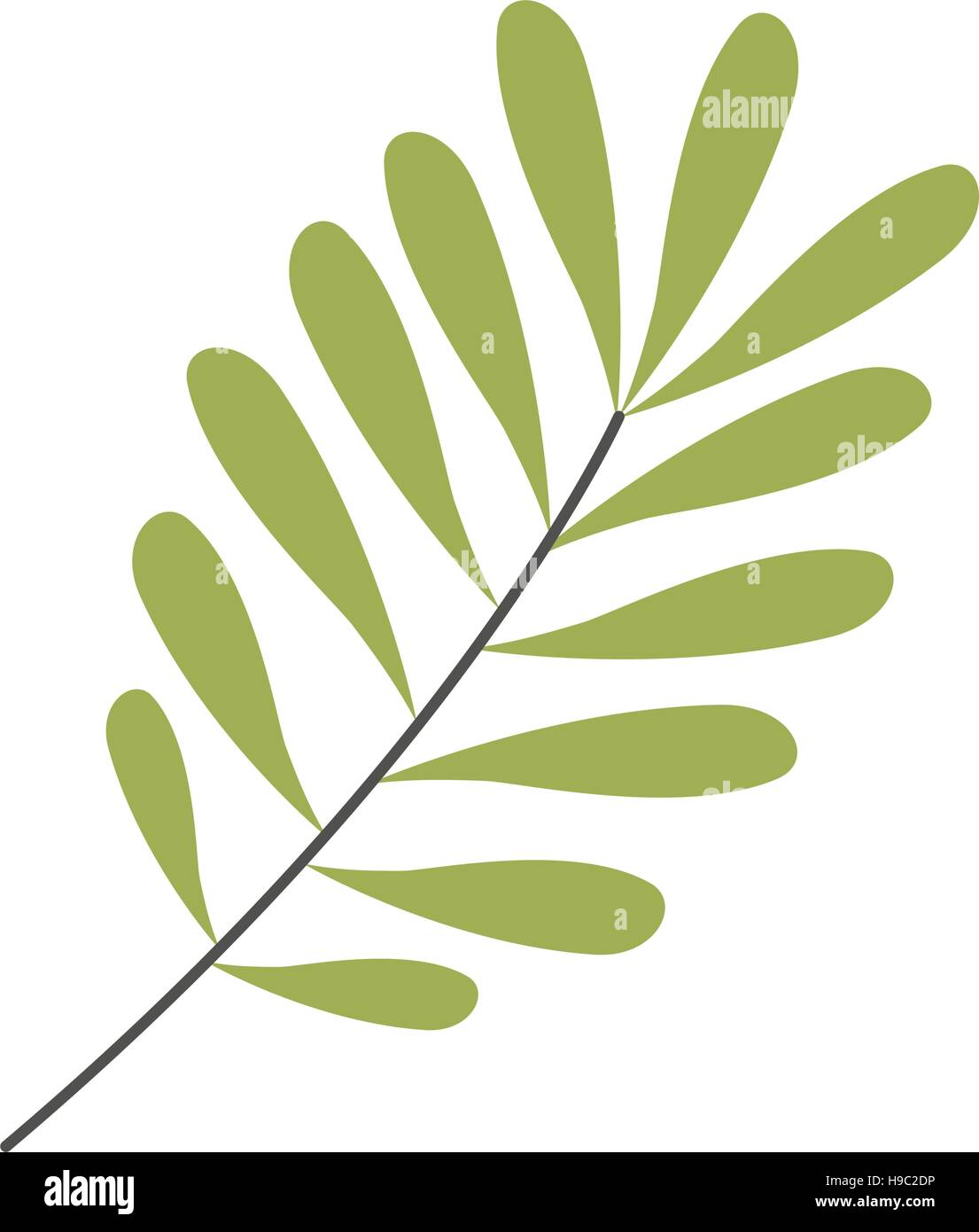 Green leaves Silhouette with ramifications vector illustration Stock Vector Image & Art - Alamy