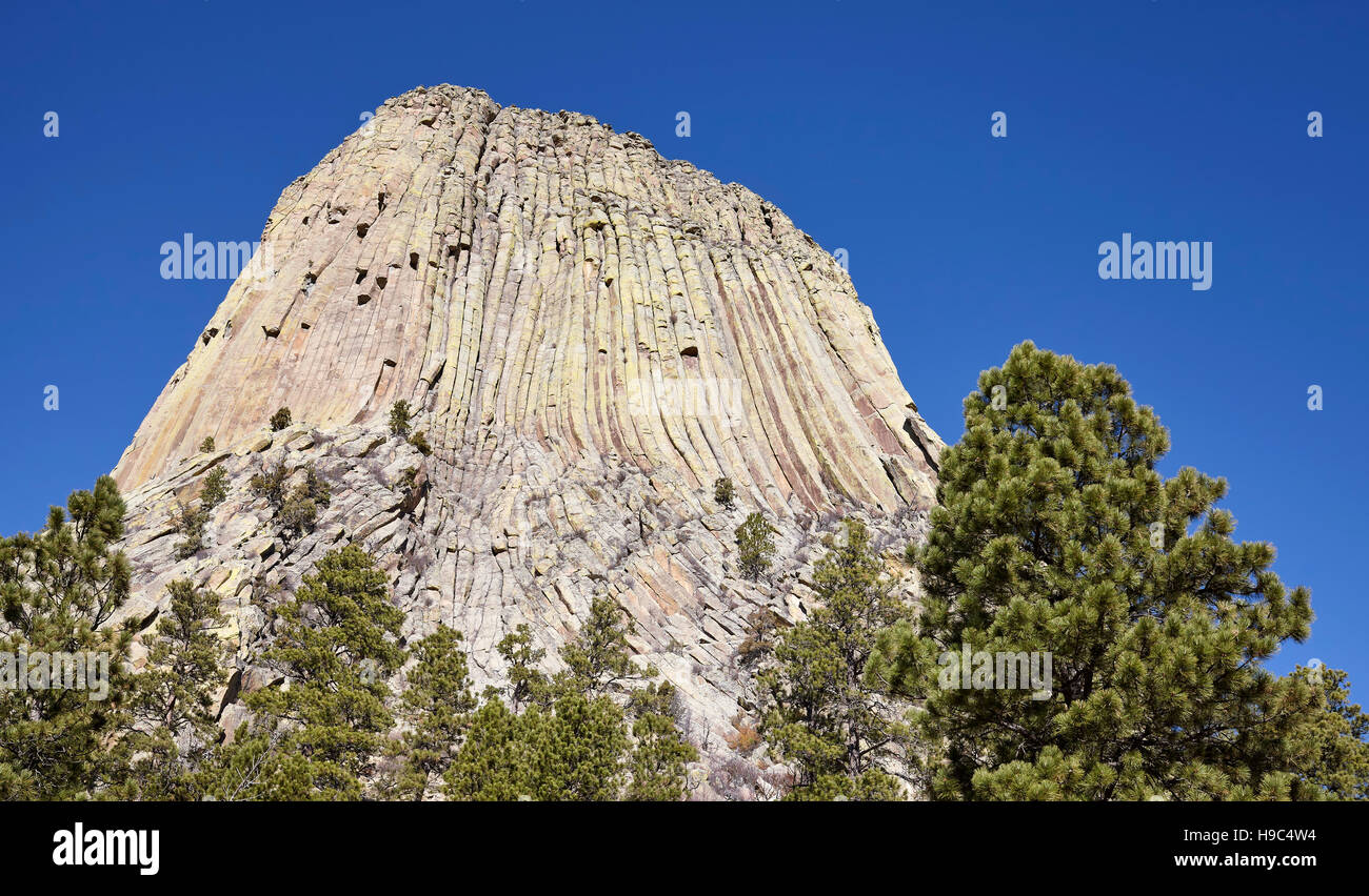 Devils Tower, a laccolith butte composed of igneous rock in the Bear ...