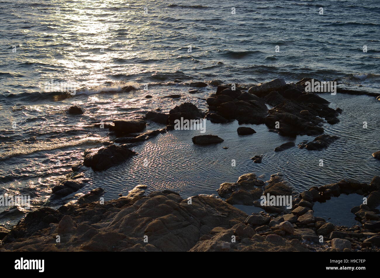 Nature photography out in the open space Stock Photo - Alamy