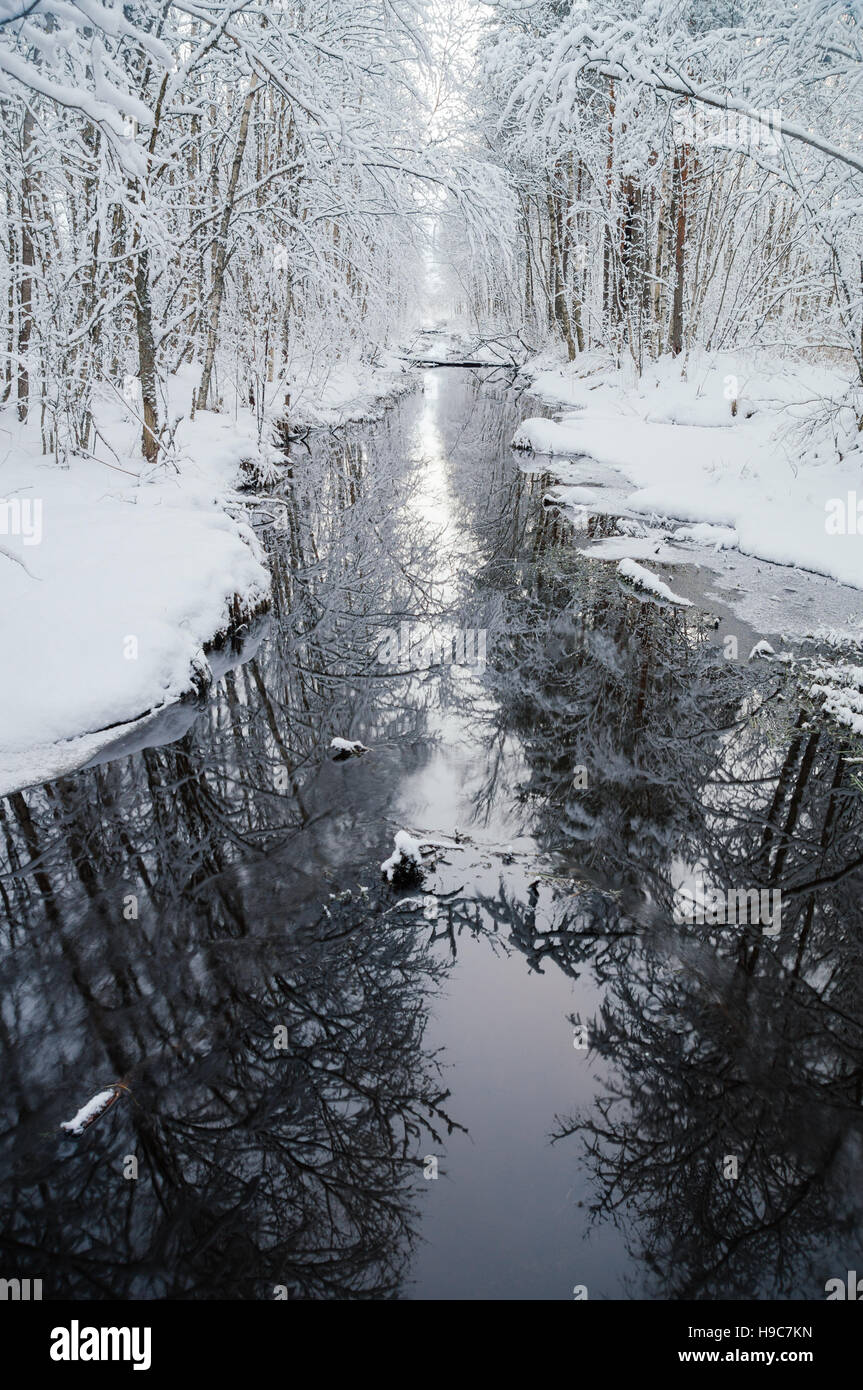 Water channel with snowy trees reflection, vertical composition Stock ...