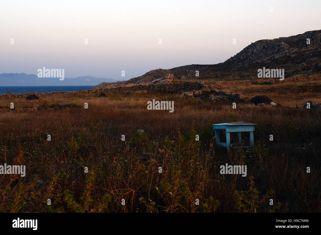 Nature photography out in the open space Stock Photo - Alamy