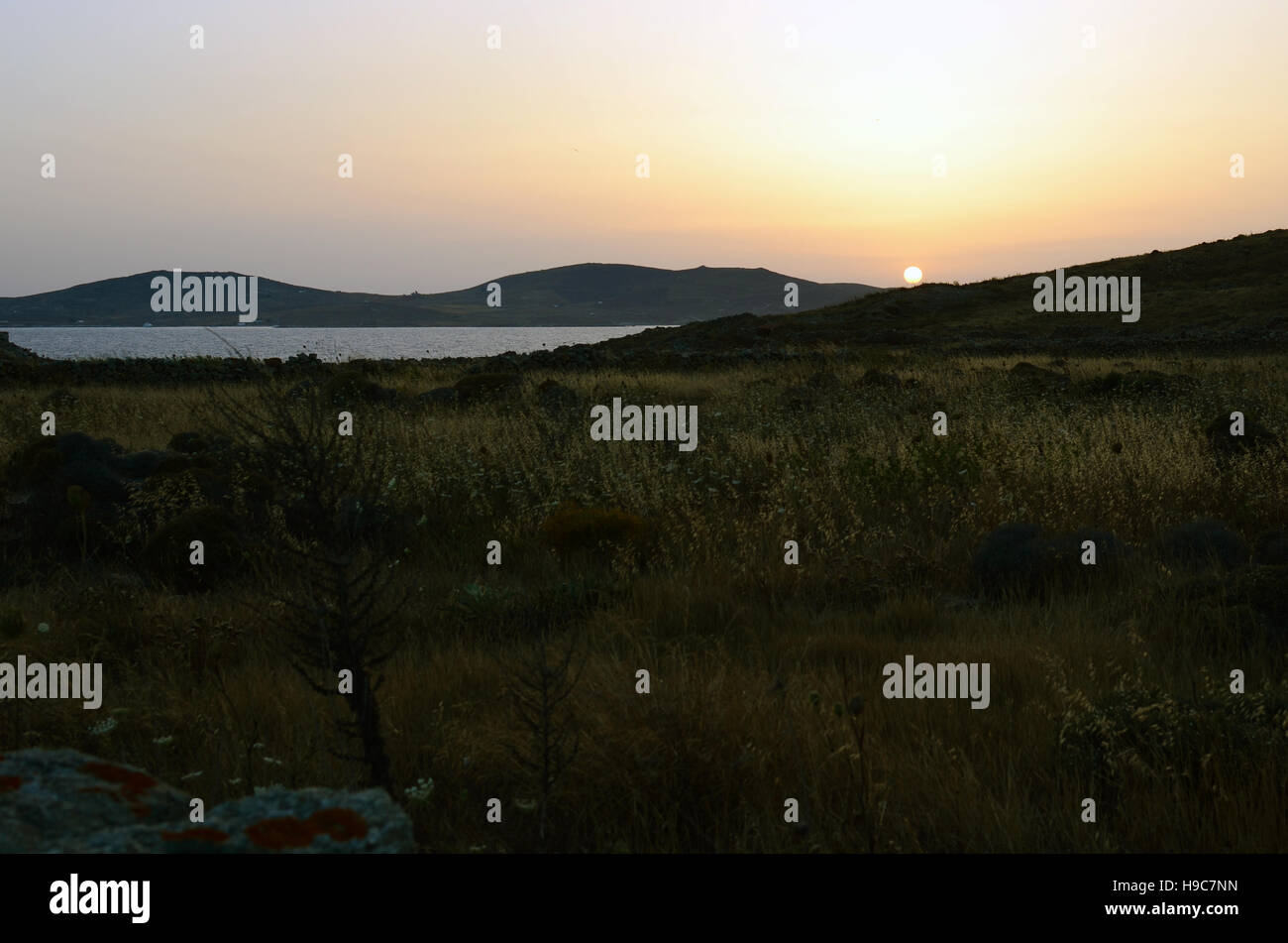 Nature photography out in the open space Stock Photo - Alamy