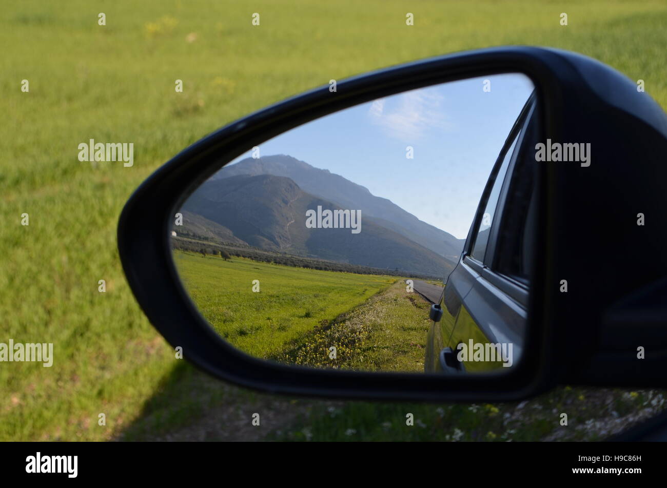 Photography of nature in the open space Stock Photo - Alamy