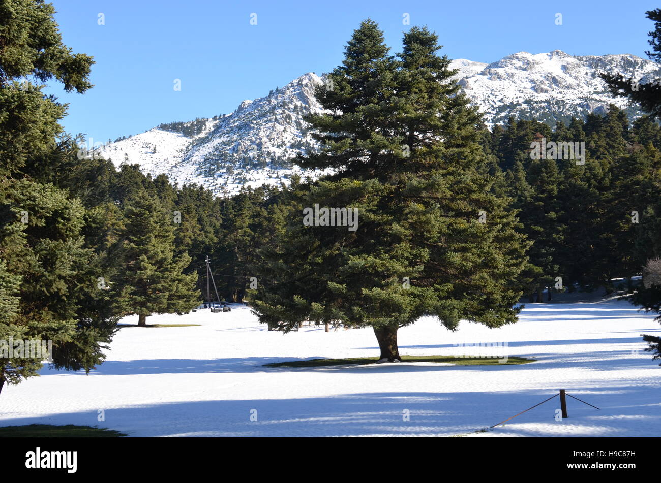 Nature photography out in the open space Stock Photo - Alamy