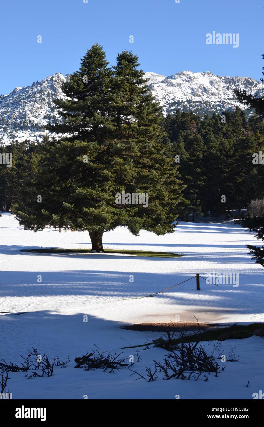 Nature photography out in the open space Stock Photo - Alamy