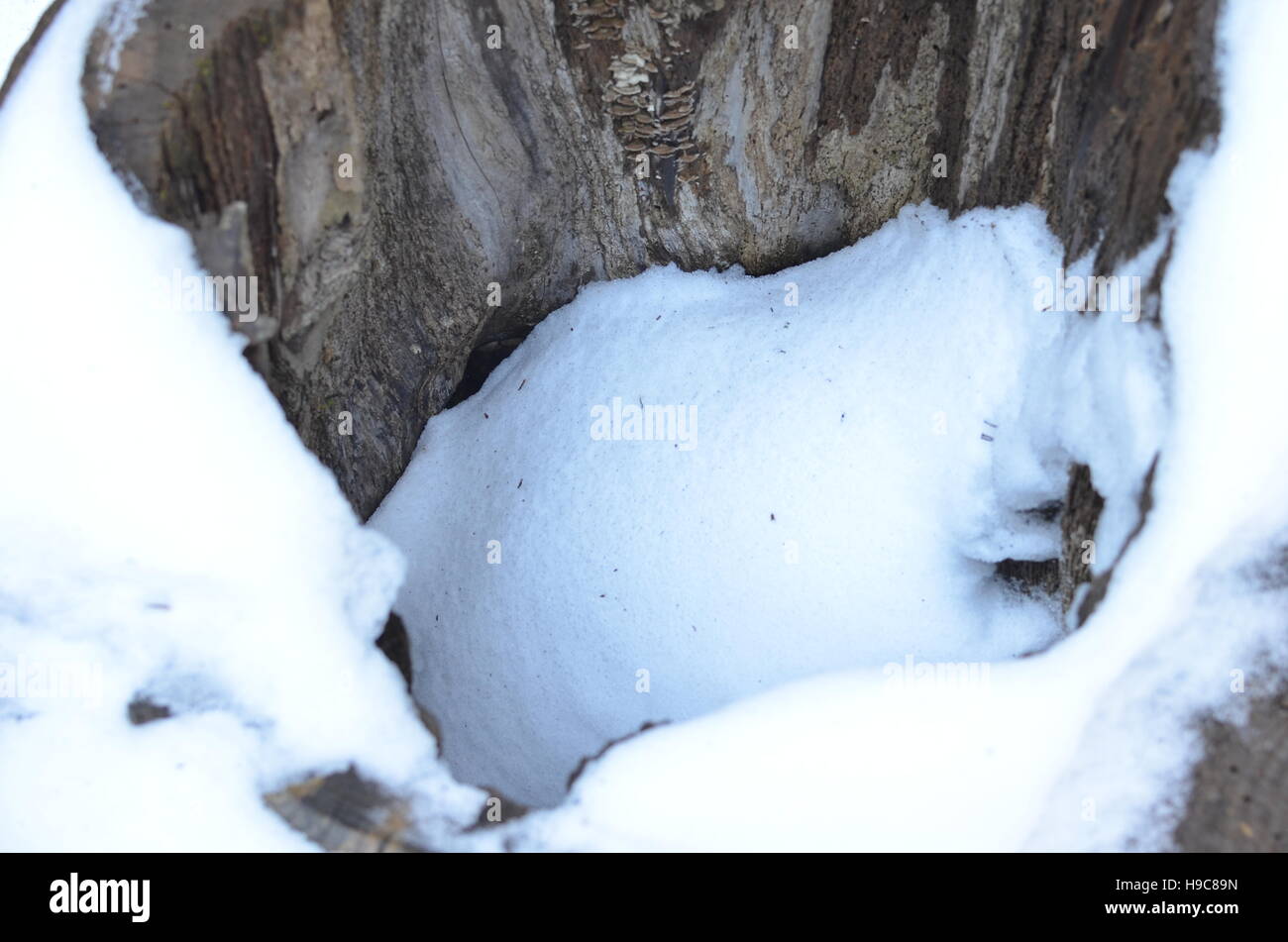 Nature photography out in the open space Stock Photo - Alamy