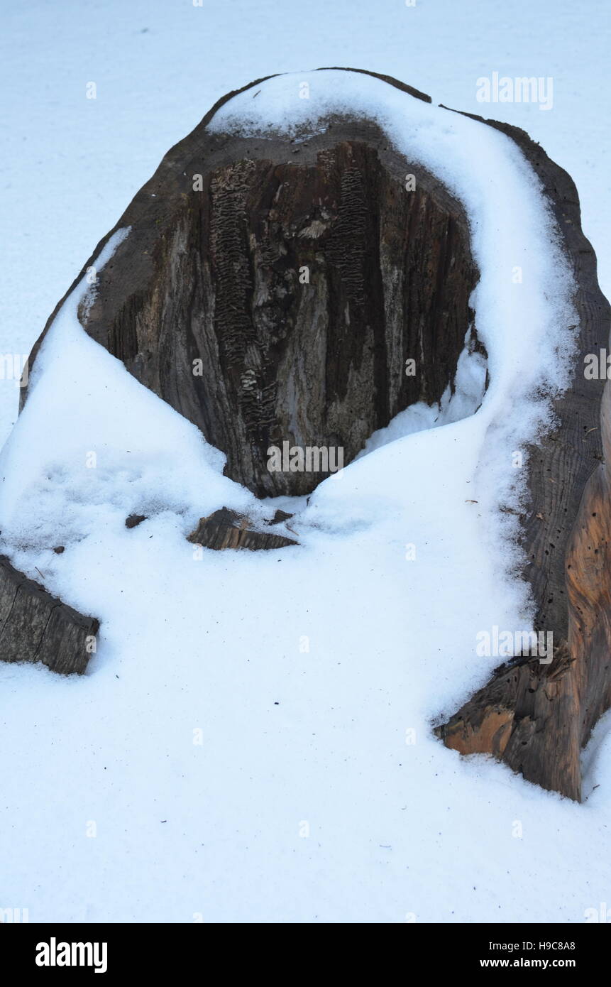 Nature photography out in the open space Stock Photo - Alamy