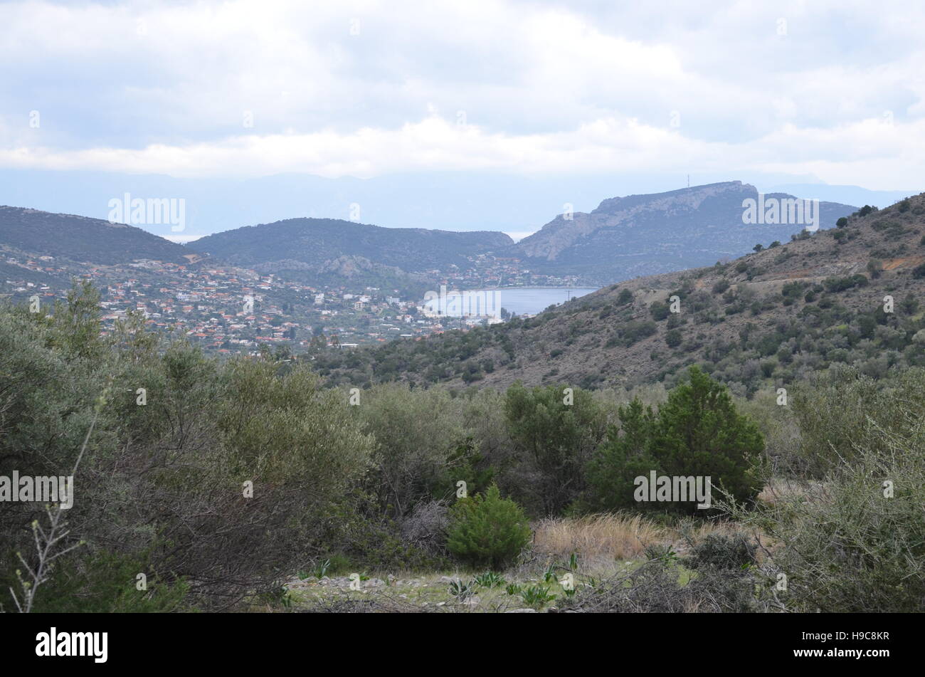 Nature photography out in the open space Stock Photo - Alamy