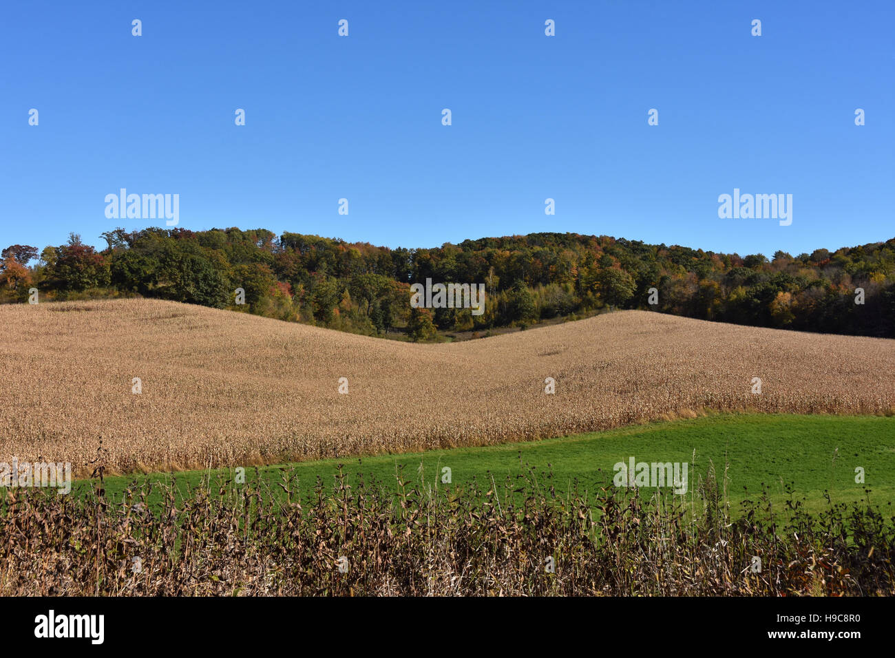 Indian farming usa history hi-res stock photography and images - Alamy