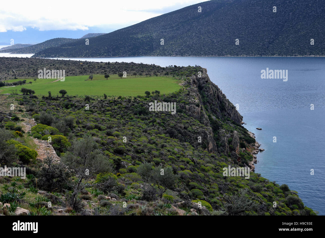 Nature photography out in the open space Stock Photo - Alamy