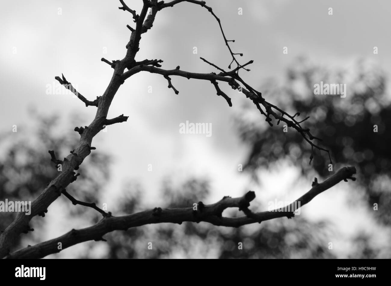 Nature photography out in the open space Stock Photo - Alamy