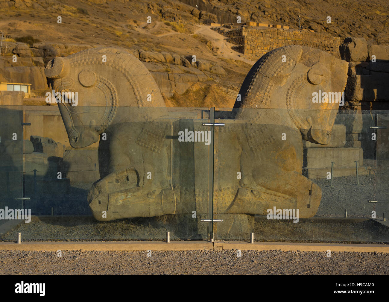 Sculpture of horse head in persepolis, Fars province, Marvdasht, Iran ...