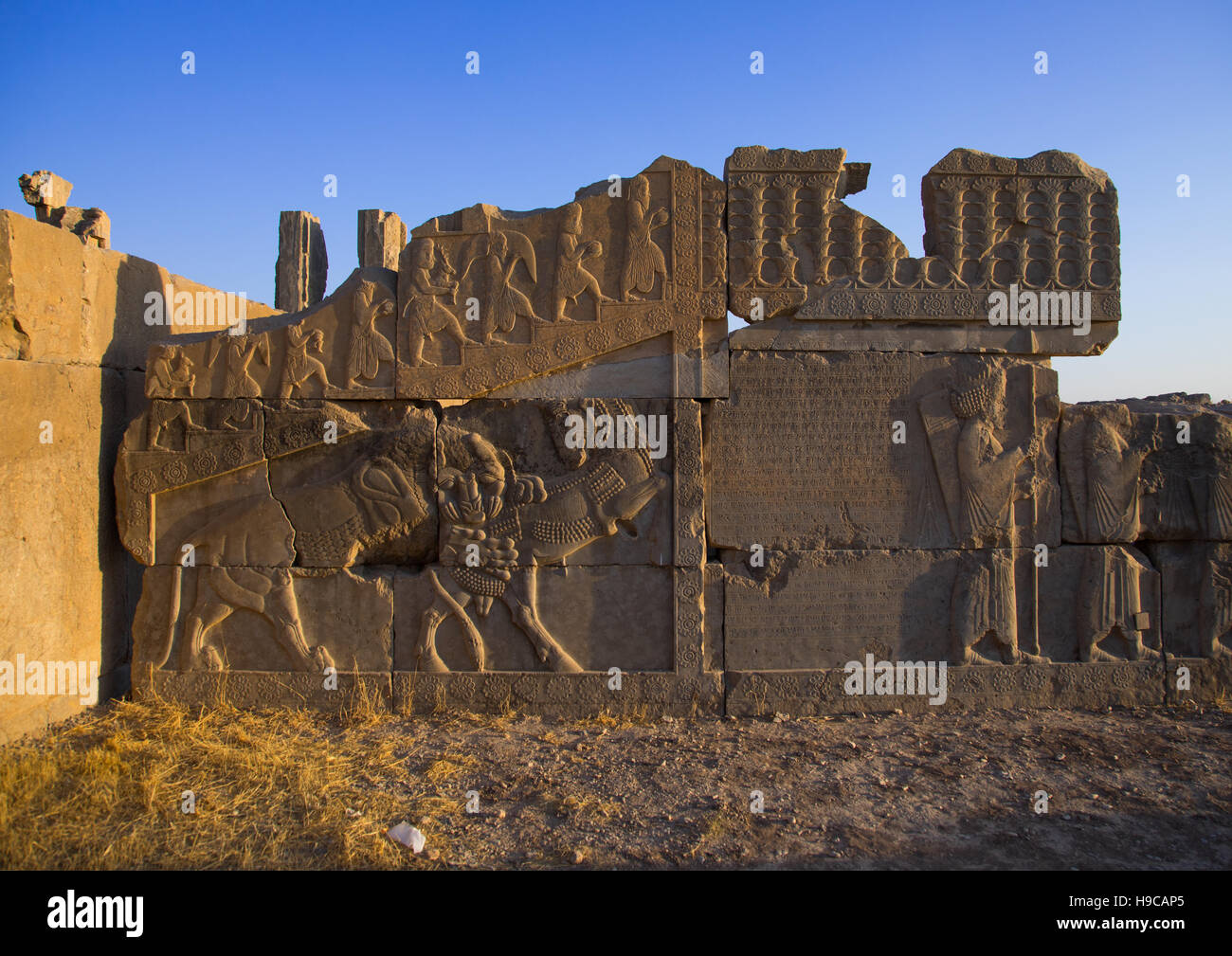 Relief in apadana palace persepolis, Fars province, Marvdasht, Iran ...